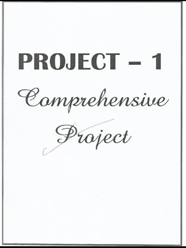 Class 12 Accountancy Project | PDF