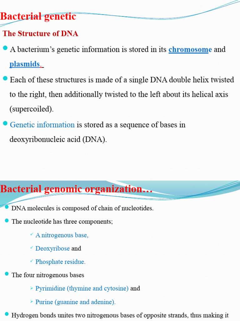 CH-4. Introduction To Microbial Genetics | PDF | Dna | Rna CH-4. Introduction To Microbial Genetics | PDF | Dna | Rna