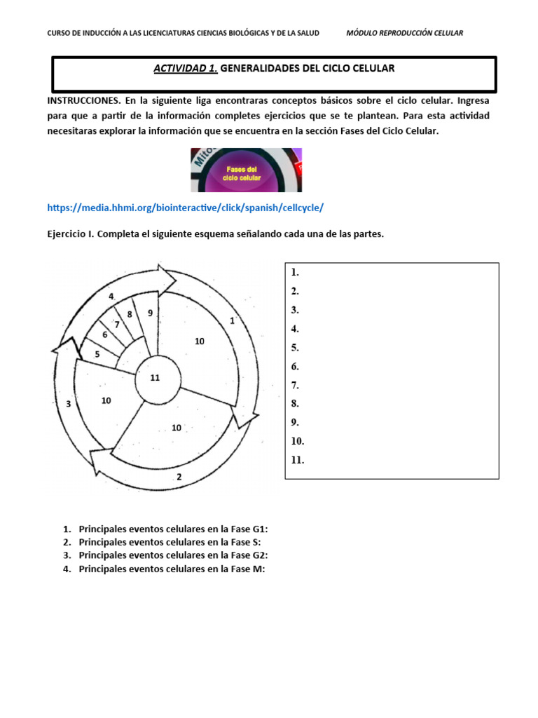 Actividad 1 Generalidades Del Ciclo Celular | PDF | Ciclo celular | Biología