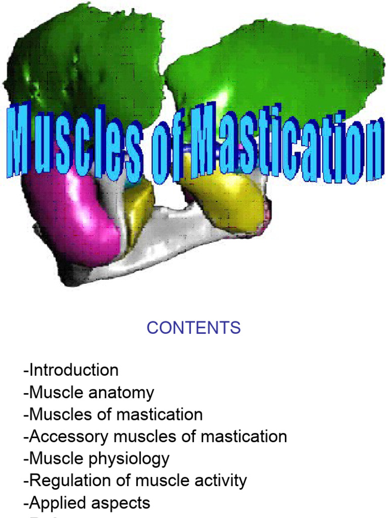 Muscles of Mastication Sumana Seminar | PDF | Muscle Contraction | Anatomy
