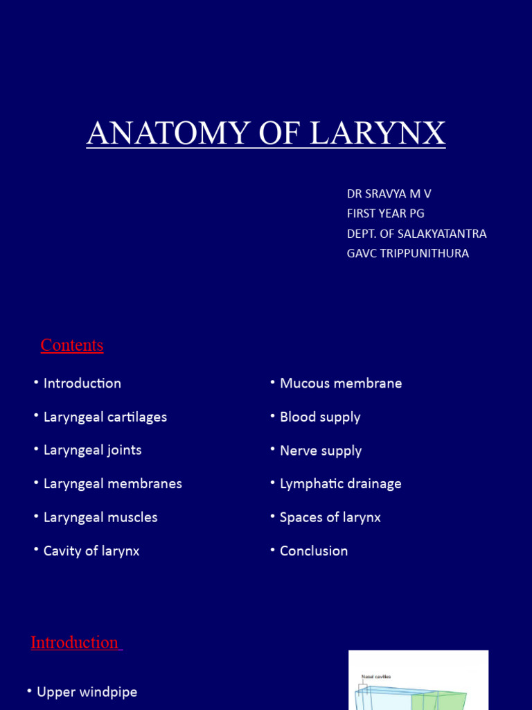 Anatomy of Larynx | PDF | Larynx | Human Anatomy