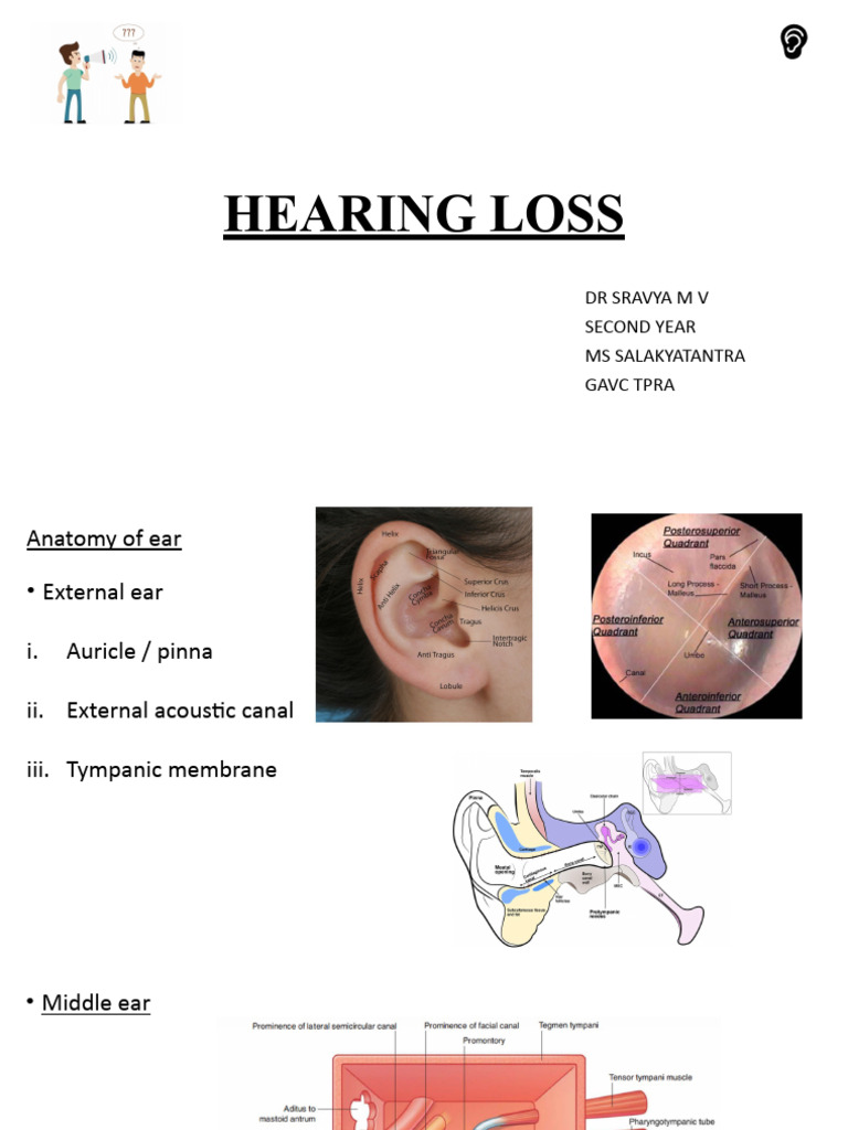 Hearing Loss | PDF | Hearing Loss | Ear