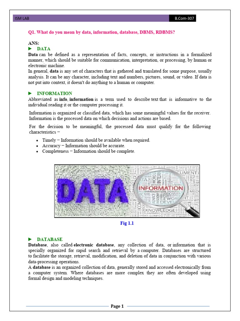 Sample File | PDF | Relational Database | Databases