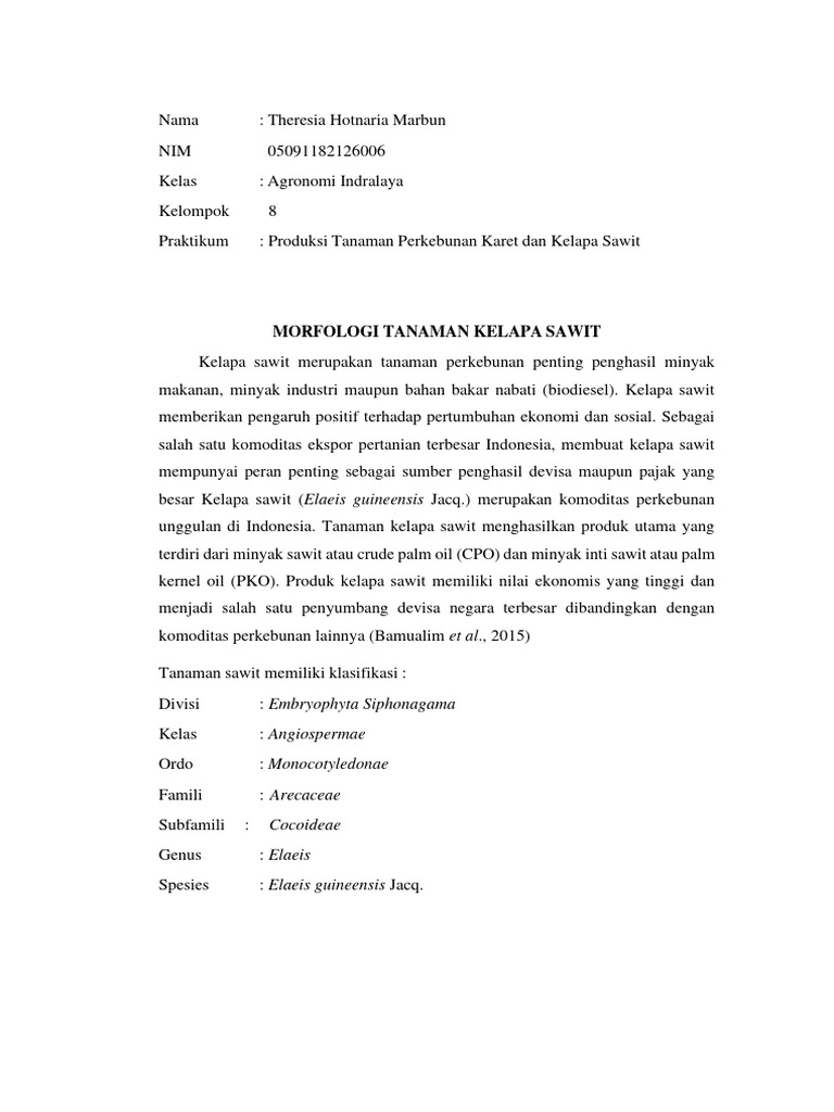 Morfologi Tanaman Kelapa Sawit | PDF