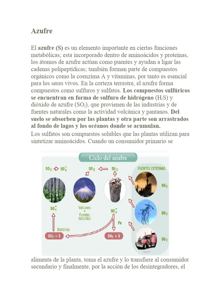 Ciclos del Azufre y Fósforo | PDF | Azufre | Fósforo
