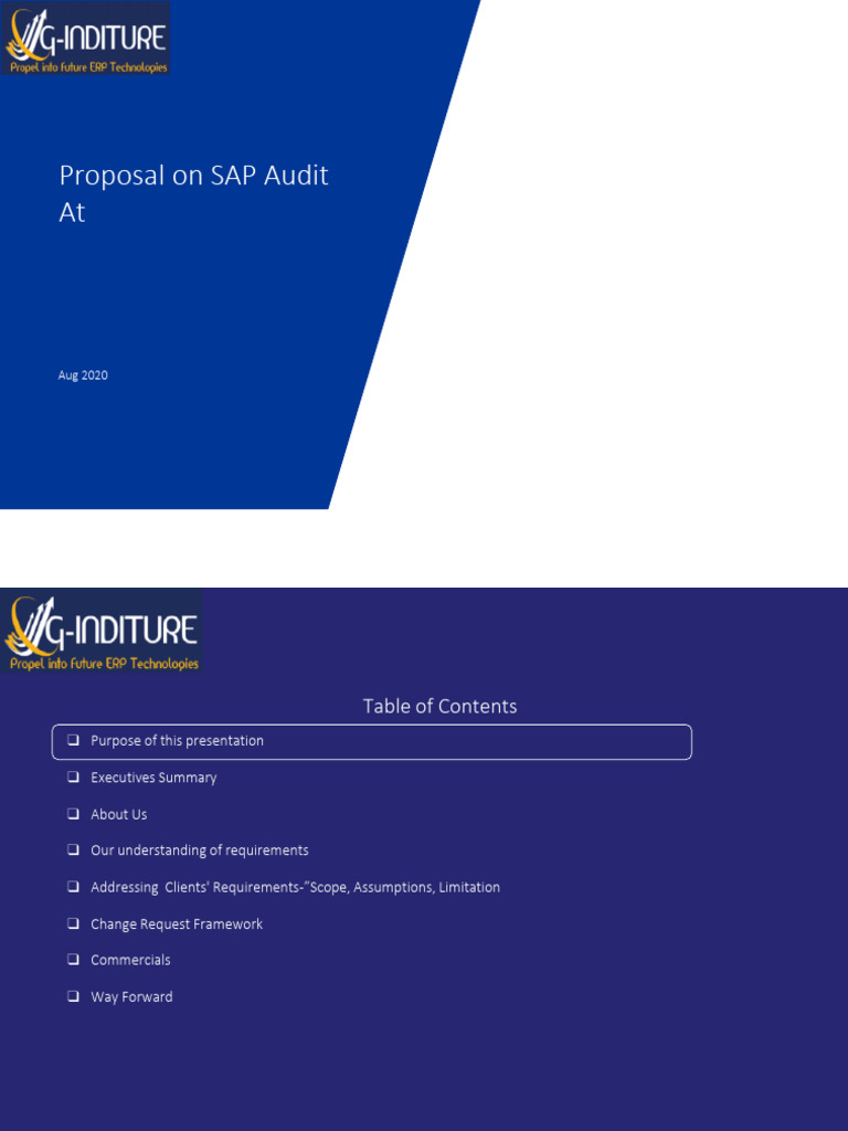 Sap Audit Services Pdf Audit Implementation