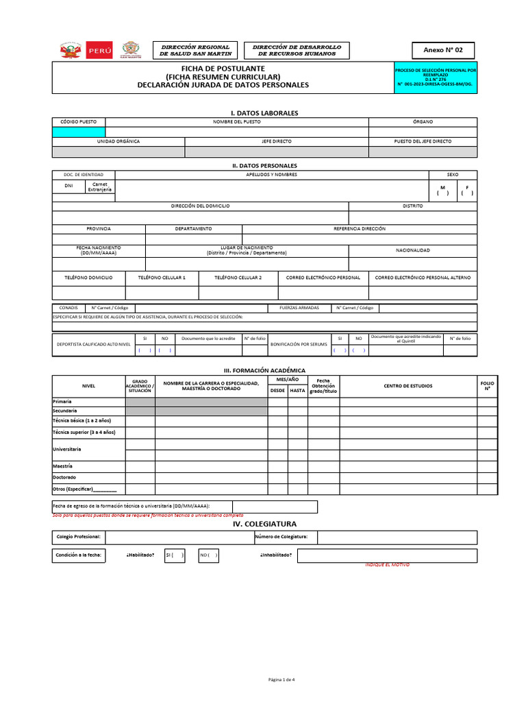 Anexo 02 - Ficha de Postulante 1 | PDF | Gestión de recursos humanos | Informática