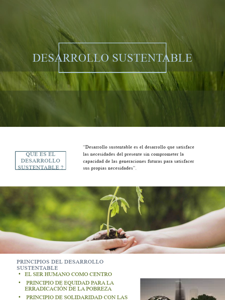 Desarrollo Sustentable | PDF | Sustentabilidad | Desarrollo sostenible
