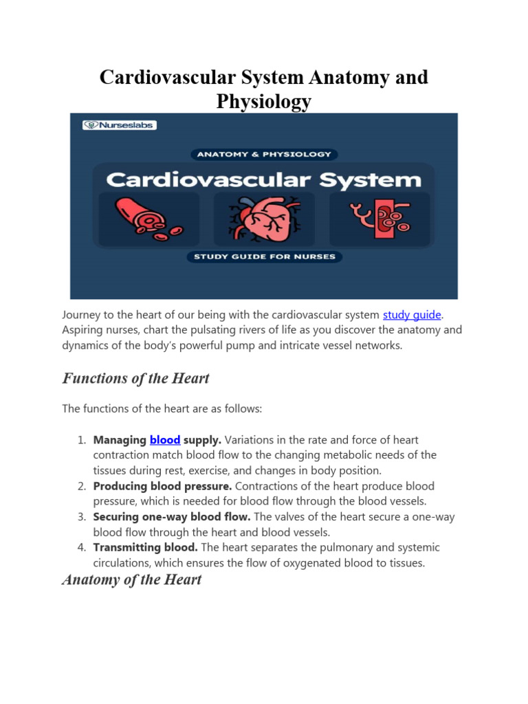 Cardiovascular System | PDF | Heart Valve | Heart