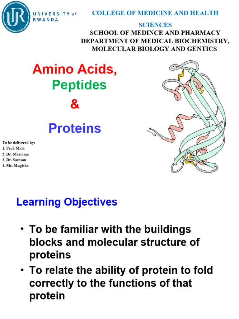 Amino Acid, Peptides and Proteins | PDF | Amino Acid | Proteins