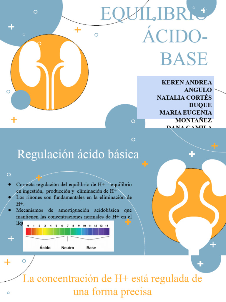 Equilibrio Acido-Base | PDF | Riñón | Excreción