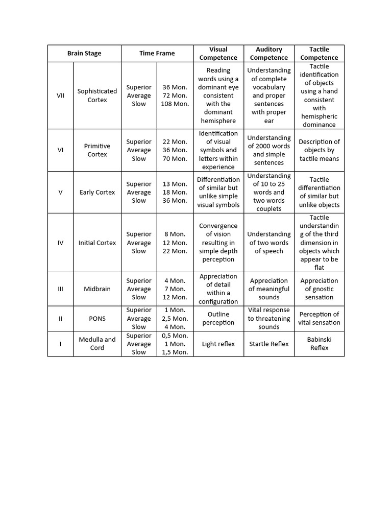 Brain Stage | Download Free PDF | Cerebral Cortex | Perception