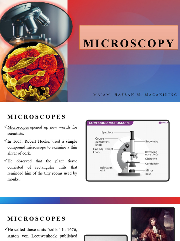 Micros | PDF
