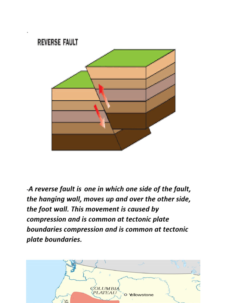 A Reverse Fault Is | PDF