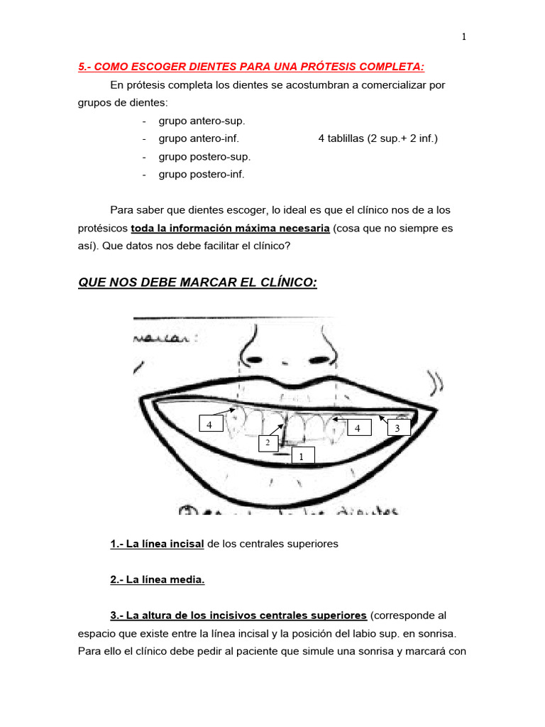 Forma Dientes | PDF | Ramas de Odontología