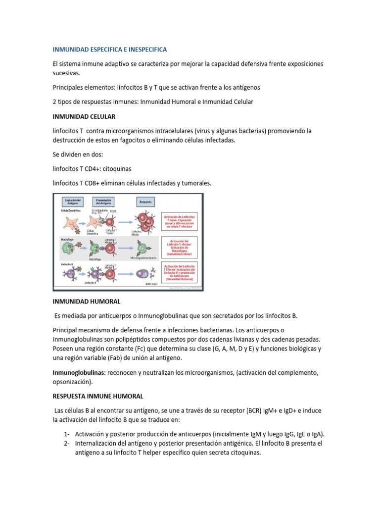 Inmunidad Especifica e Inespecifica | PDF | Sistema inmune | Anticuerpo