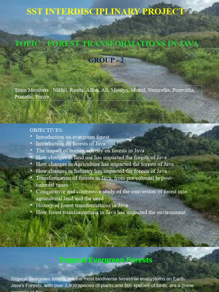 Java's Forest Transformations | PDF | Deforestation | Agriculture