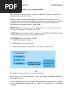 10SP-Desmayos y Escala AVDN | PDF | Medicina | Enfermedades y ...
