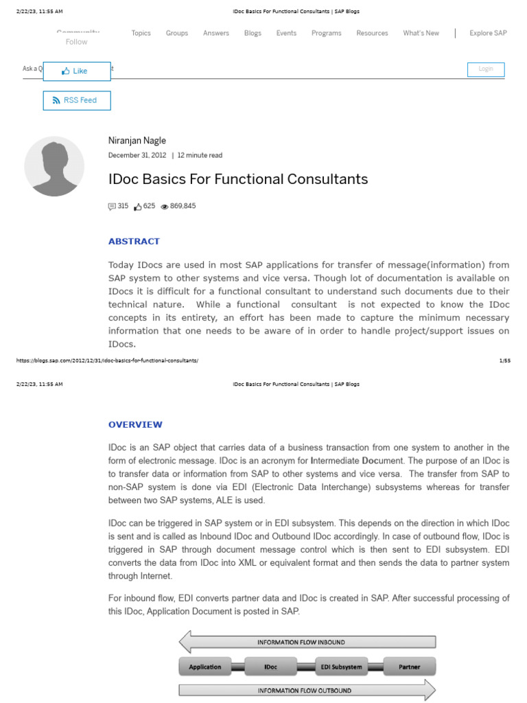 IDoc Basics For Functional Consultants | PDF | Electronic Data Interchange | Business