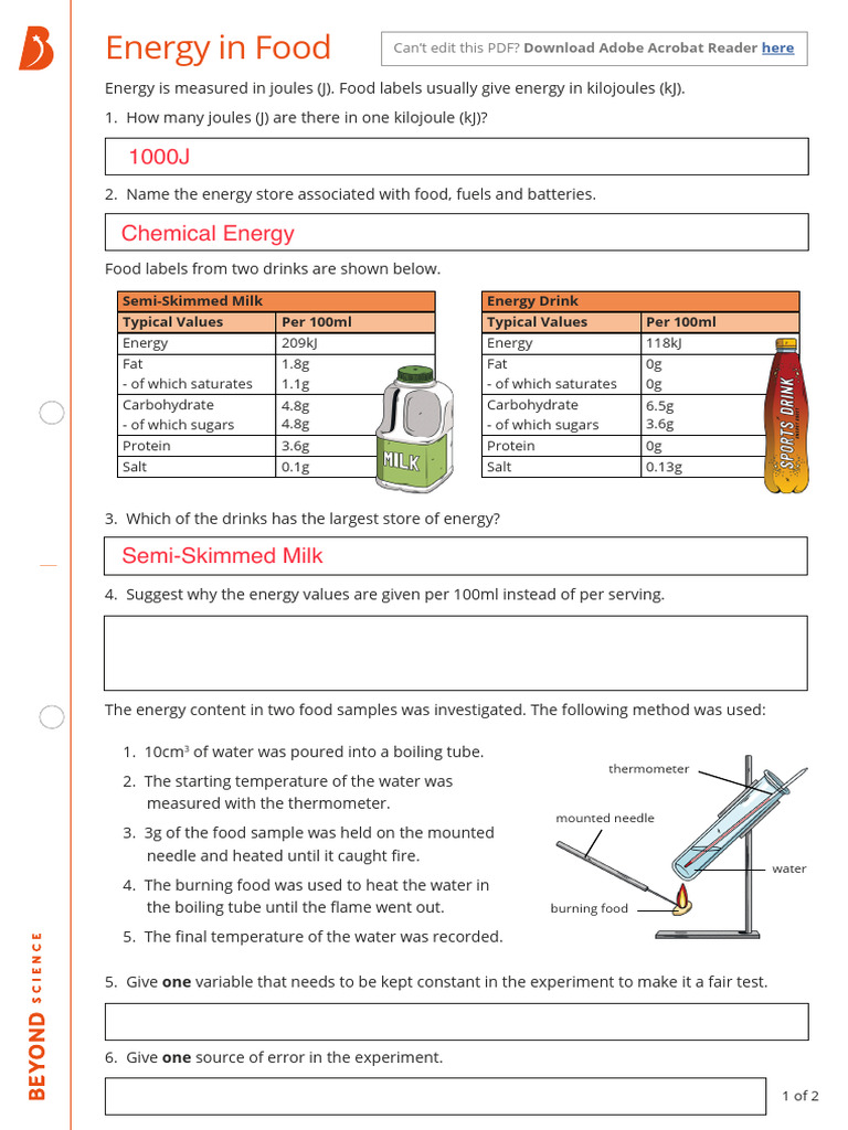 Energy in Food Worksheet - Interactive | PDF | Water | Carbohydrates