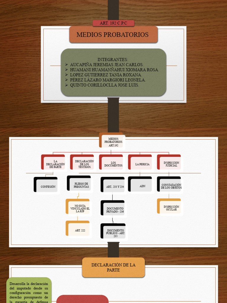 Medios Probatorios | PDF | Testigo | Testigo experto