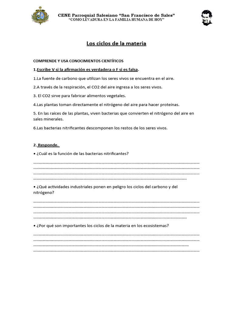 Act. Ciclo de La Materia | PDF | Plantas | Oxígeno