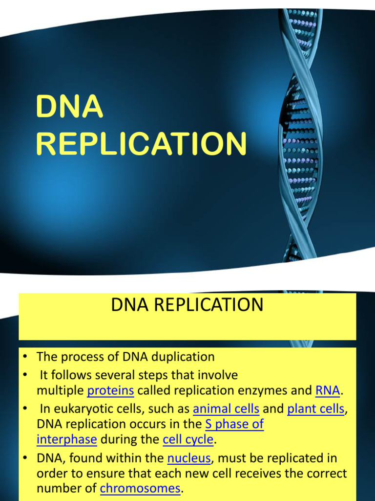 DNA Replication With Video Links | PDF | Dna Replication | Dna