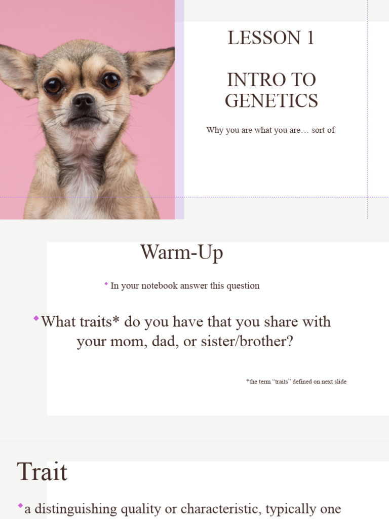 Unit 4 Lesson 1 - Intro To Genetics | PDF