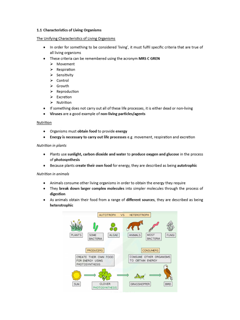 Chap 1 Science Year 7 | PDF | Reproduction | Cellular Respiration