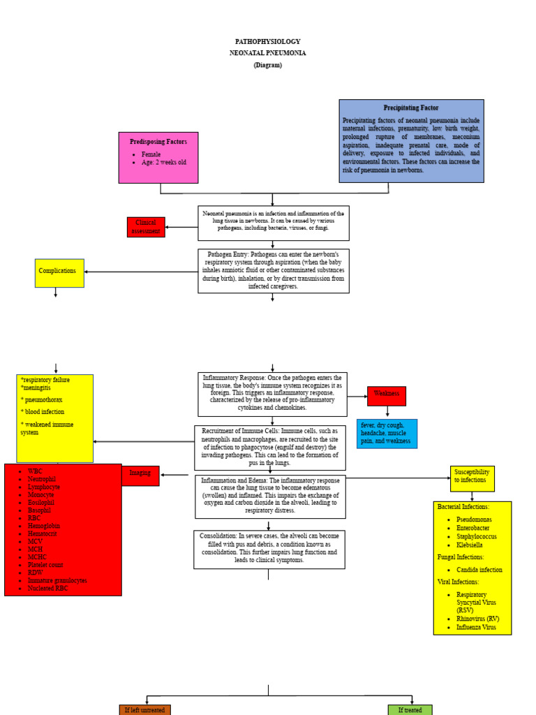 Neonatal Pneumonia Pathophysiology | PDF | Pneumonia | Inflammation