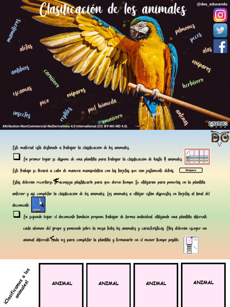 Clasificación de Los Animales. Fichas de Trabajo | PDF