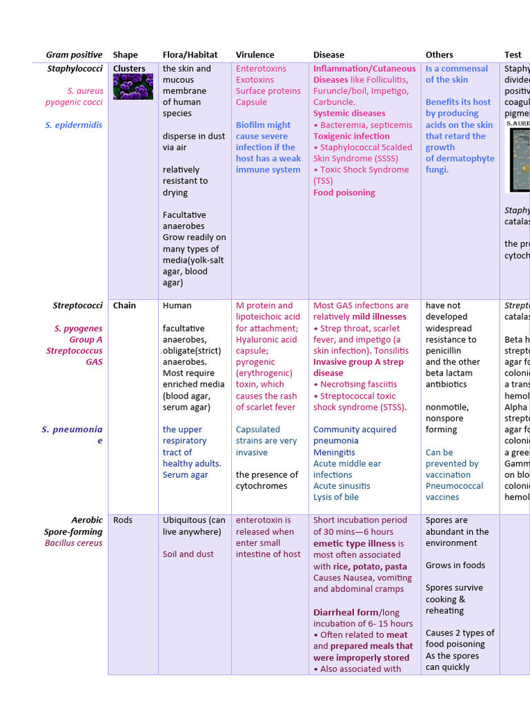 List of Gram Positive Bacteria | PDF | Streptococcus | Bacteria