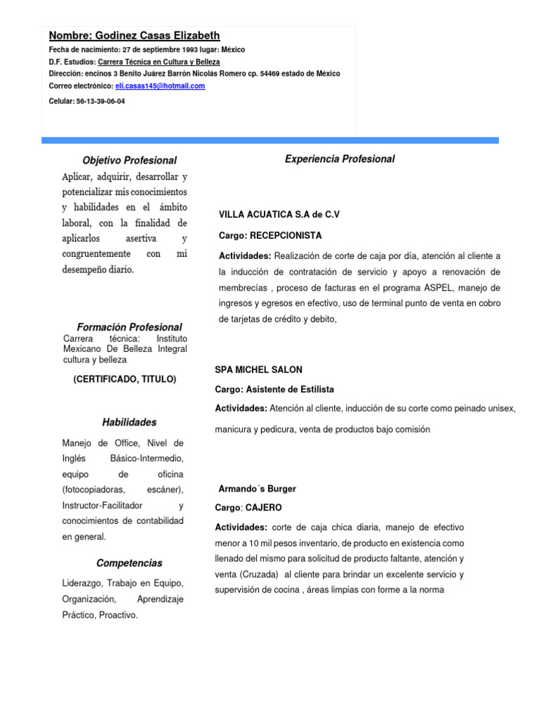 Cómo Realizar Un CV | PDF