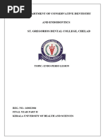 AAE Endo Diagnosis 230611 113009 | PDF | Medical Diagnosis | Dentistry ...