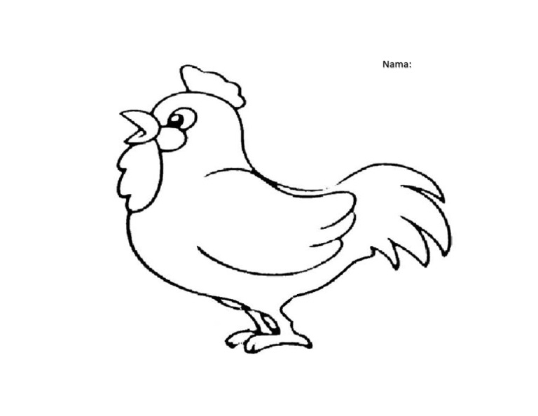 Mengisi Pola Gambar Ayam Untuk Anak | PDF