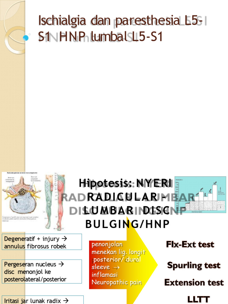 12 HNP Lumbal L5 S1 | PDF | Diseases And Disorders | Nervous System