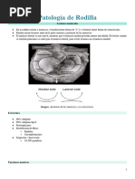 Examen Físico de la Rodilla | PDF | Rodilla | Anatomía del miembro inferior
