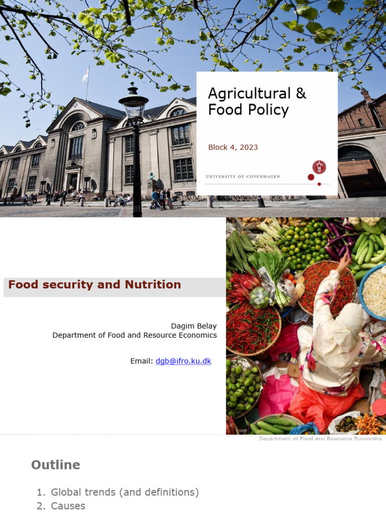 Lecture 9 - Food Security and Nutrition | PDF | Malnutrition | Obesity