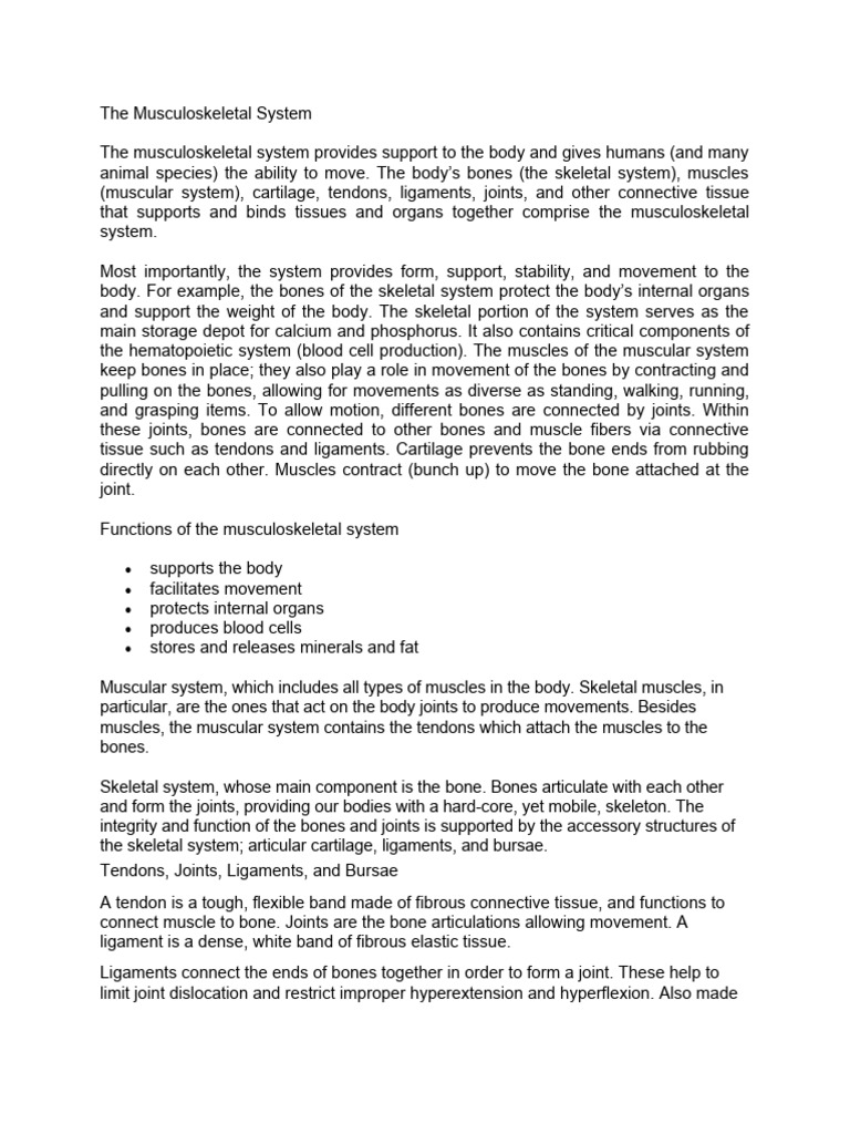 The Musculoskeletal System | PDF | Human Musculoskeletal System | Skull