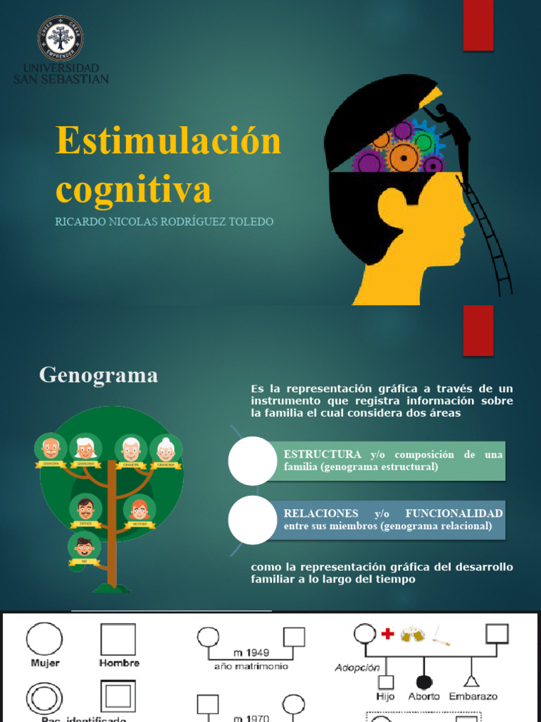 Estimulación Cognitiva | PDF | Memoria | Ciencia cognitiva