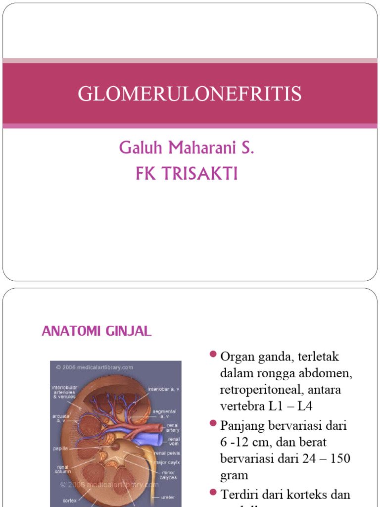 Glomerulonefritis | PDF | Sains & Matematika