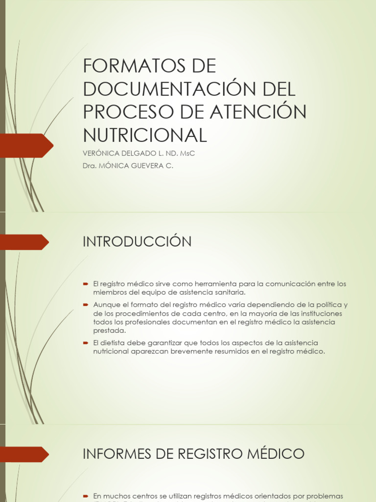 Formato Documentacion Pan | PDF | Dieta | Nutrición