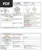 The Living World Mind Map | PDF | Taxonomy (Biology) | Organisms