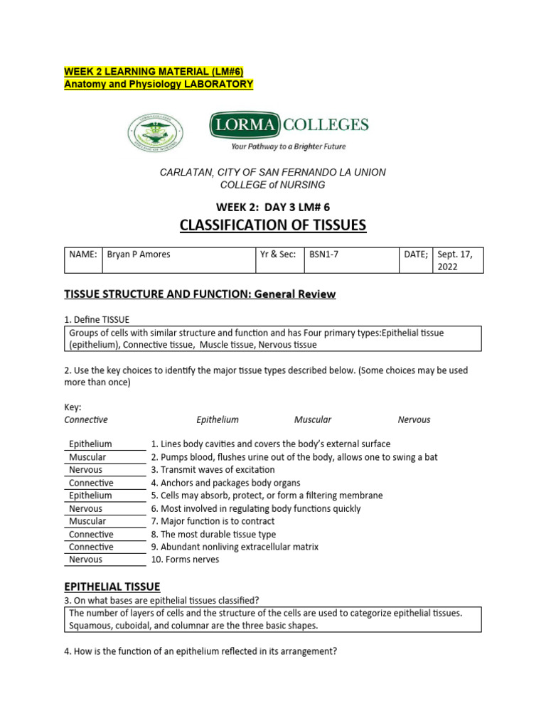 Worksheet On Tissues | PDF | Epithelium | Tissue (Biology)