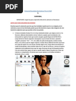 Carta de Terminos y Condiciones NPIE | PDF