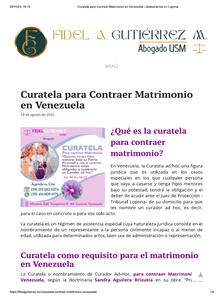 Curatela | PDF