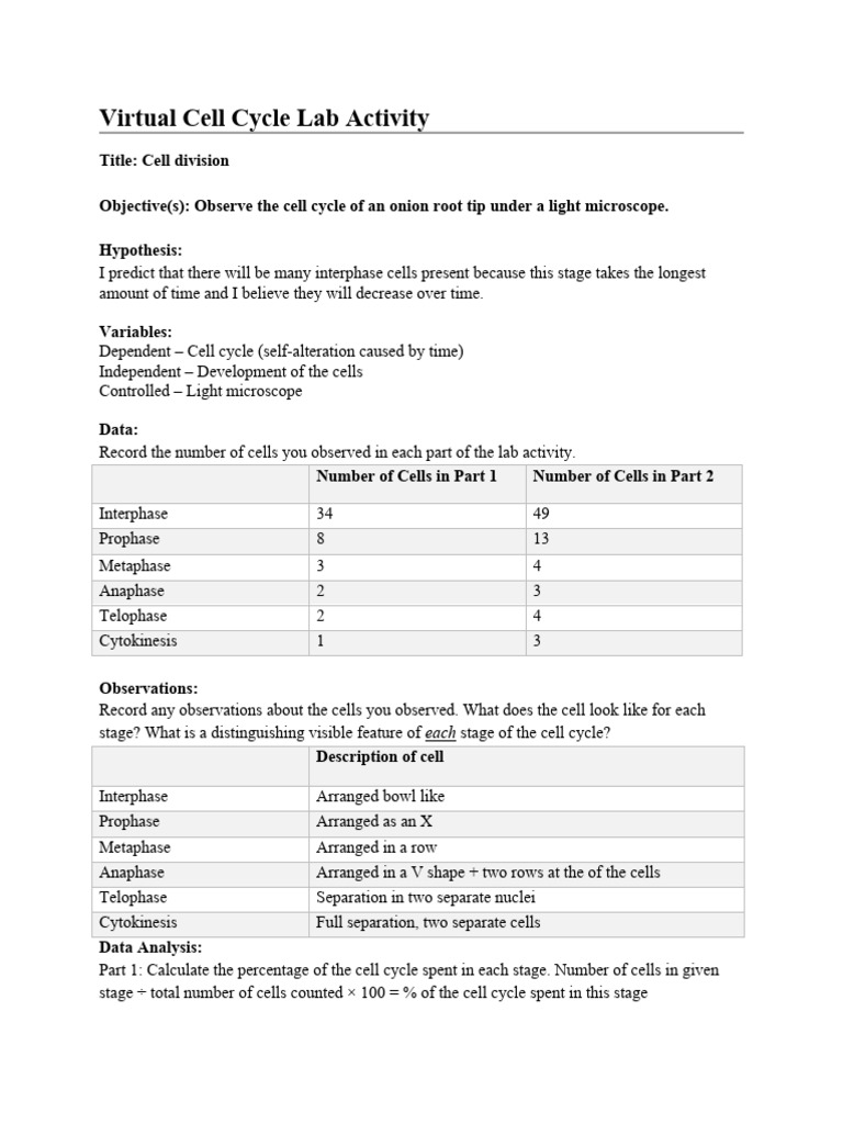 03 01 Virtual Cell Cycle Lab Report Template | PDF | Mitosis | Cell Biology