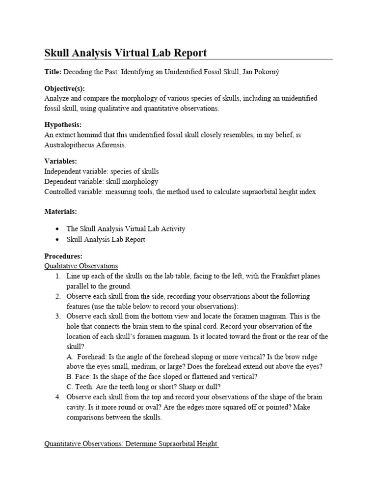 Primate Skull Analysis Lab Report | PDF | Skull | Homo