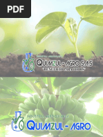 Agrigrow Ca B ZN - Ficha Técnica | PDF | Toxicidad | Calcio