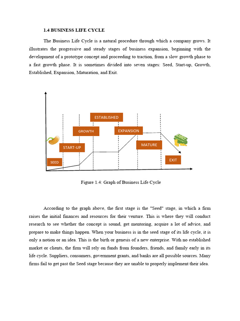 Business Life Cycle | PDF | Startup Company | Small Business ...